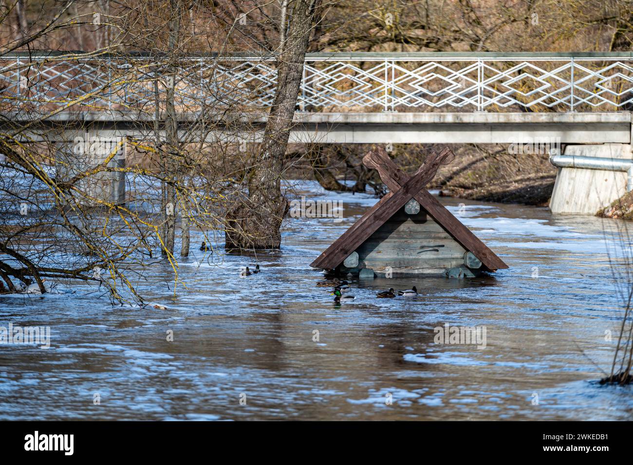 to the roof of a bird house flooded in spring floods - a feeder on the ...