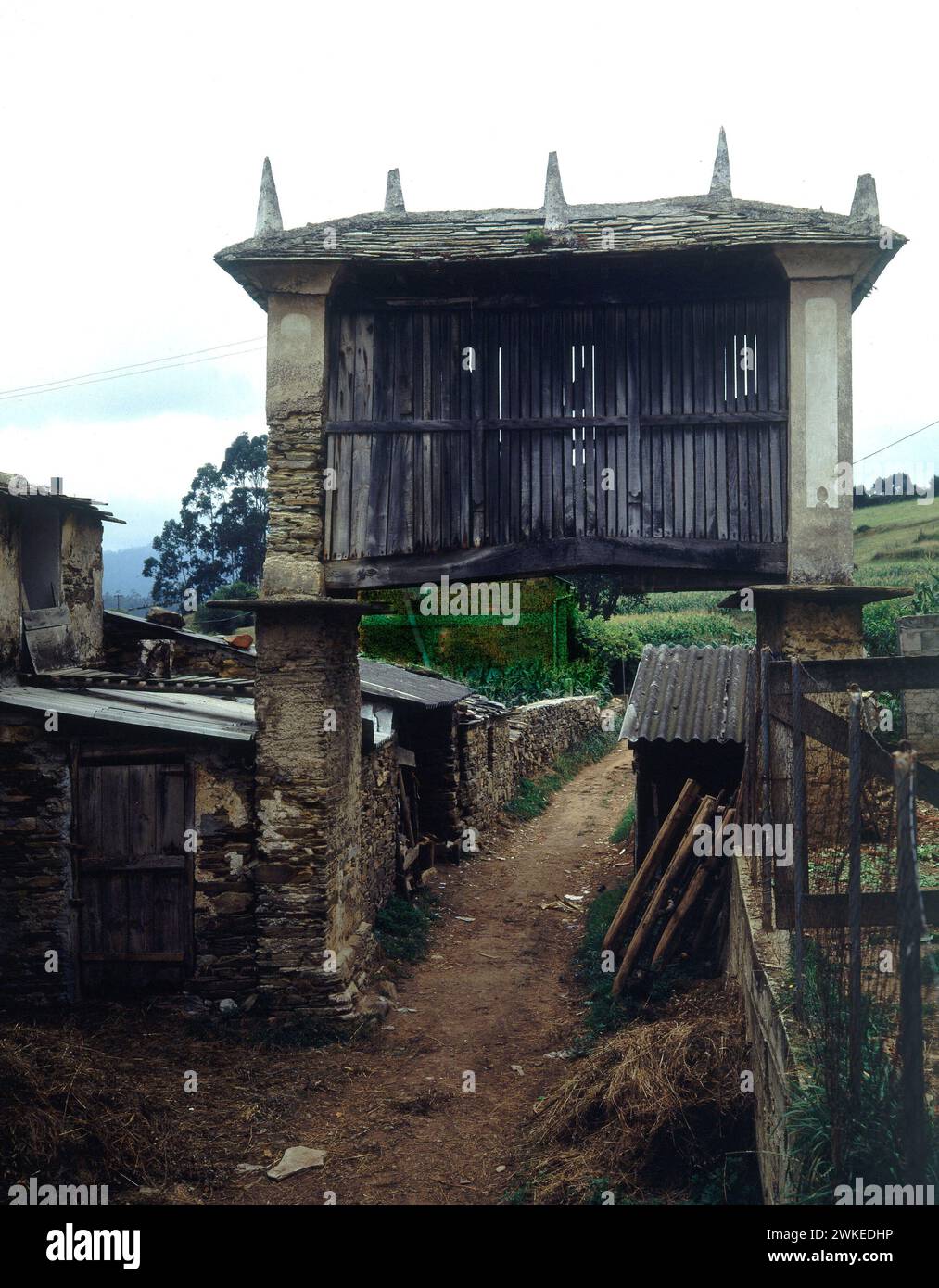 Haciendo arco hi-res stock photography and images - Alamy