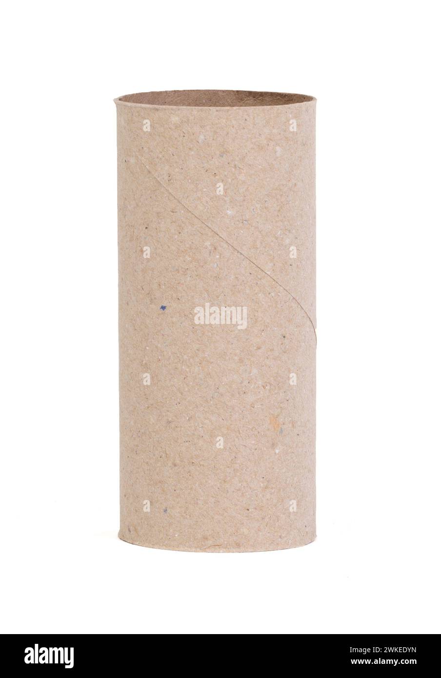 Closeup of one empty cardboard toilet roll, isolated on a white ...