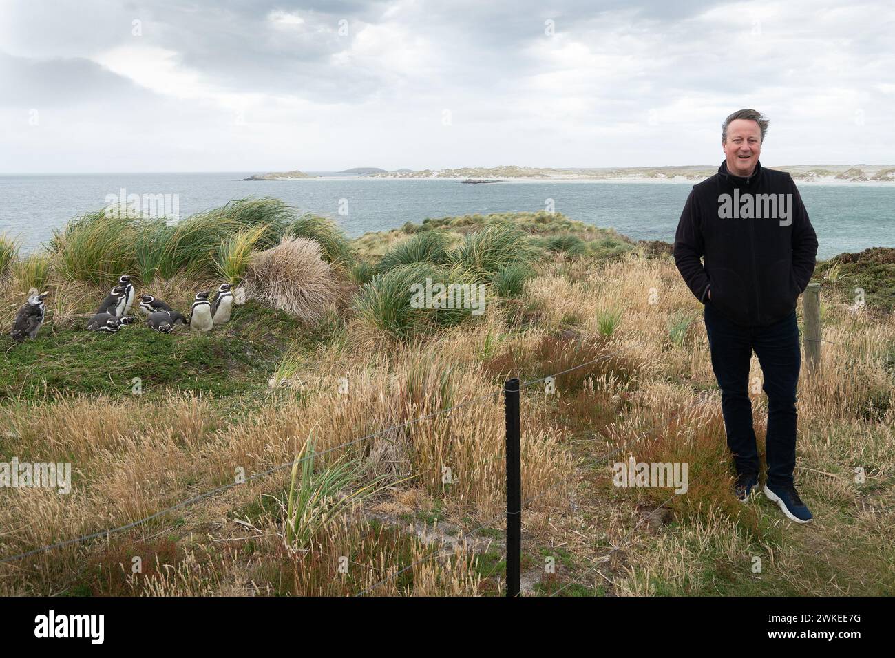 Foreign Secretary Lord David Cameron visits Gypsy Cove on the Falkland ...