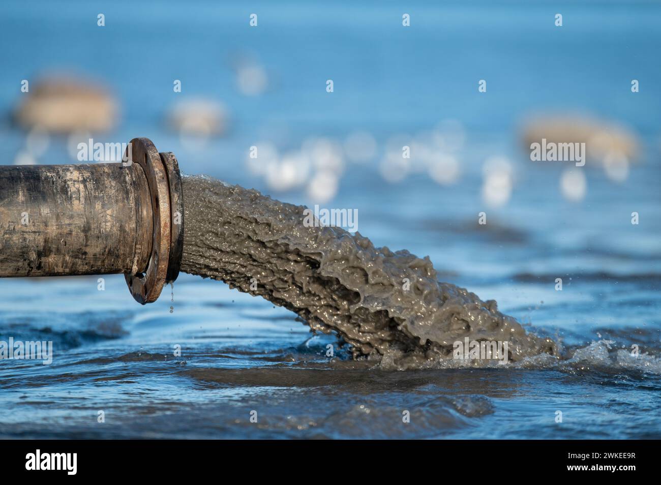 Beach restoration using a sand transfer system in Engure, Latvia Stock ...
