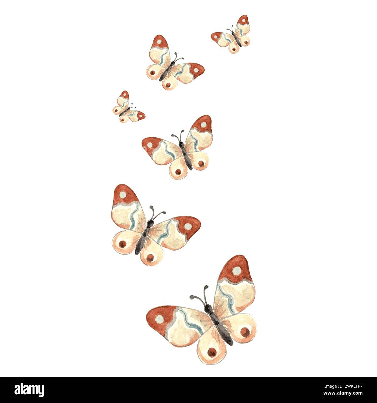 Watercolor flying butterflies delicate blue brown color. Isolated hand ...