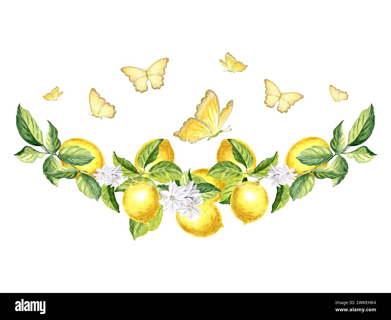 Composition of lemons fruits with green leaves and flowers. Hand drawn ...