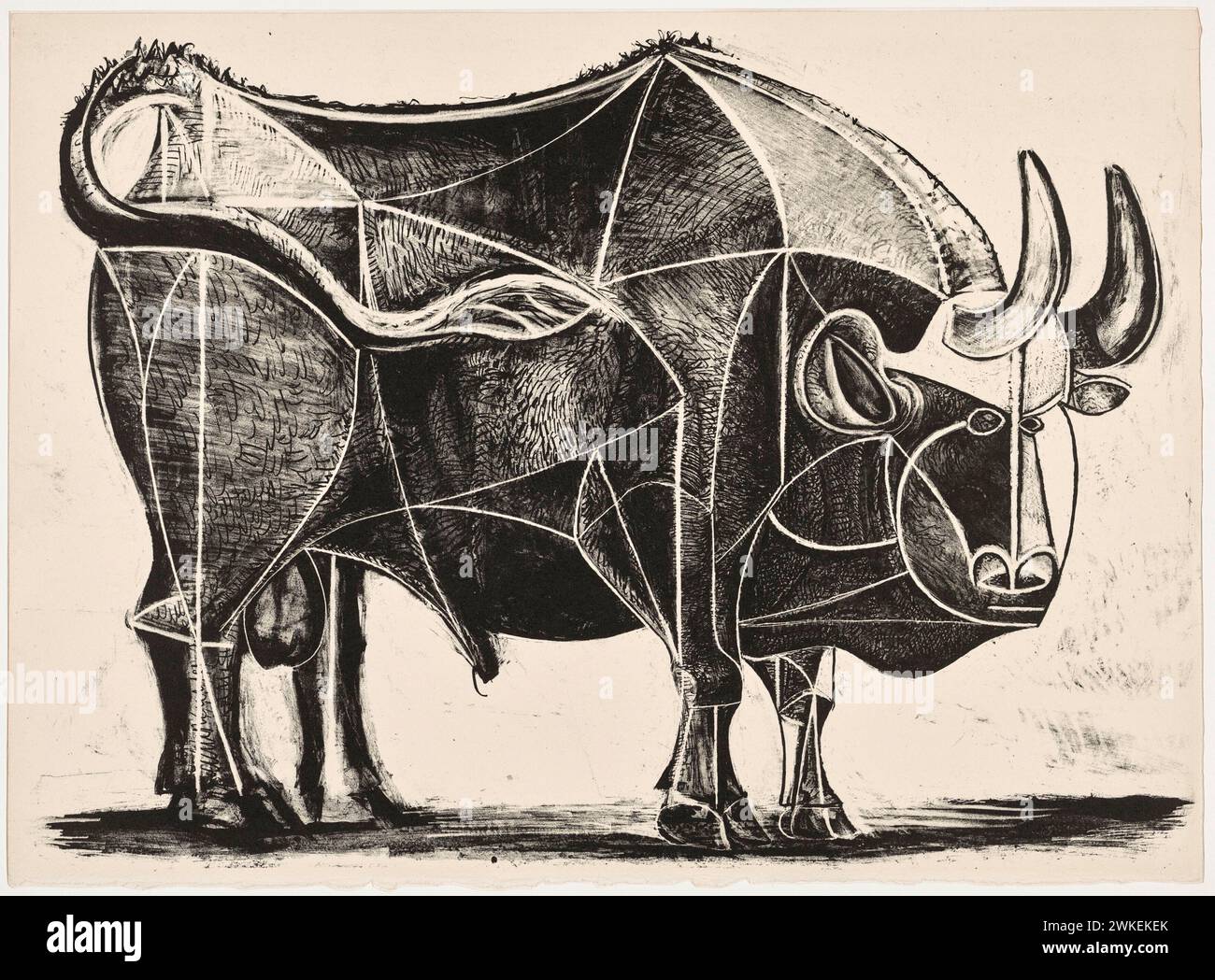 Picasso le taureau hi-res stock photography and images - Alamy