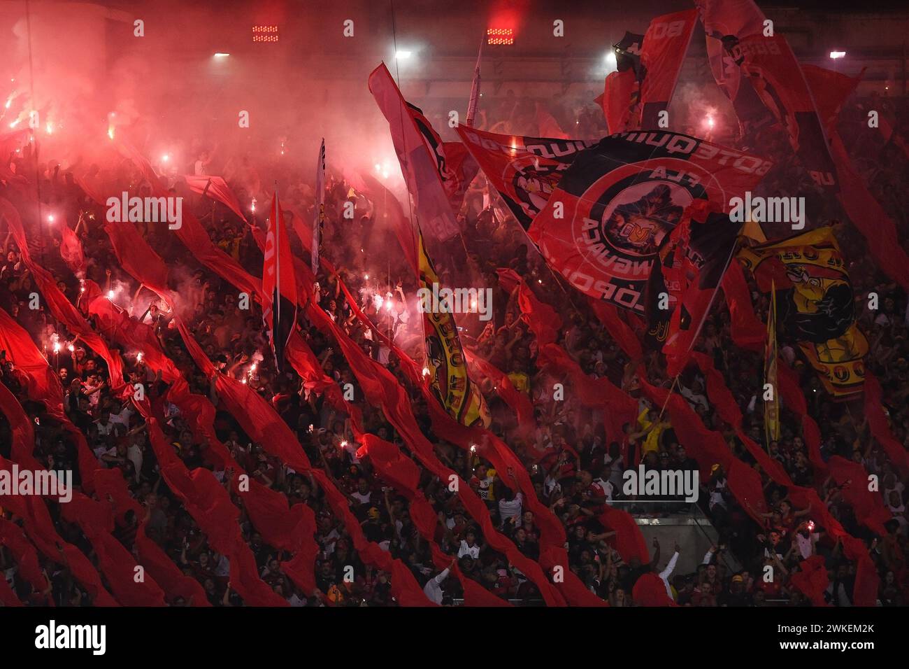 Rio de Janeiro, Brazil, June 1, 2023. Flamengo fans during a game for ...