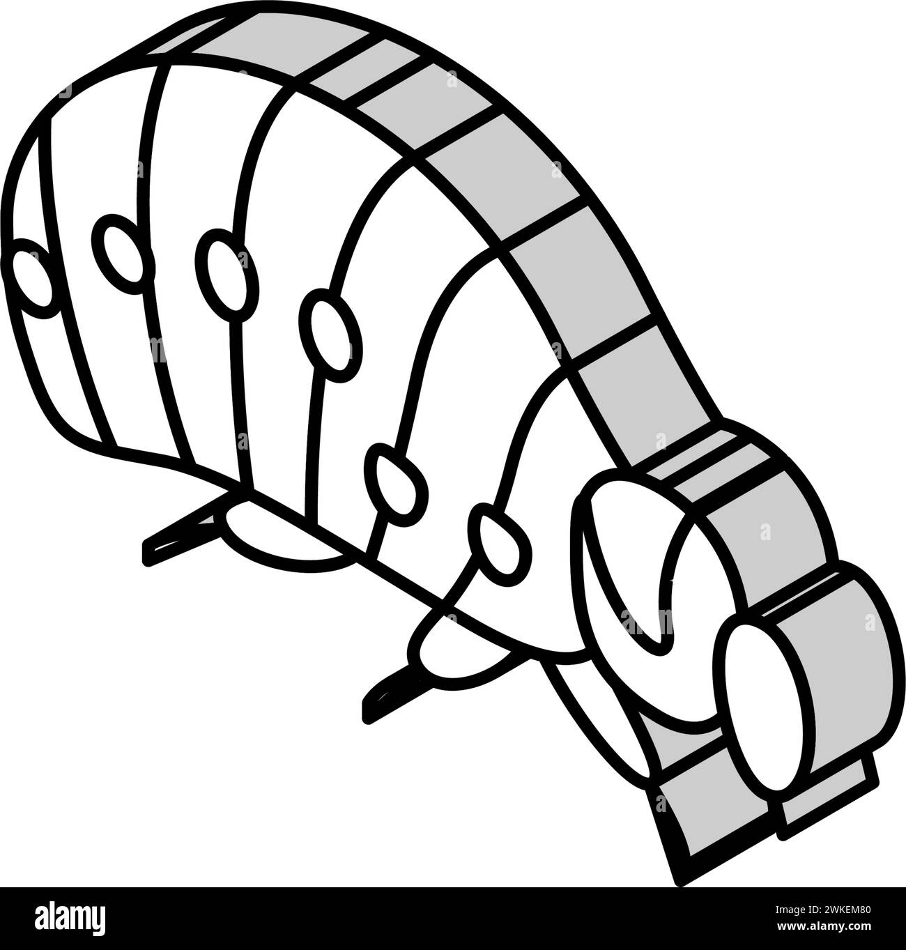 red larva colorado beetle isometric icon vector illustration Stock ...