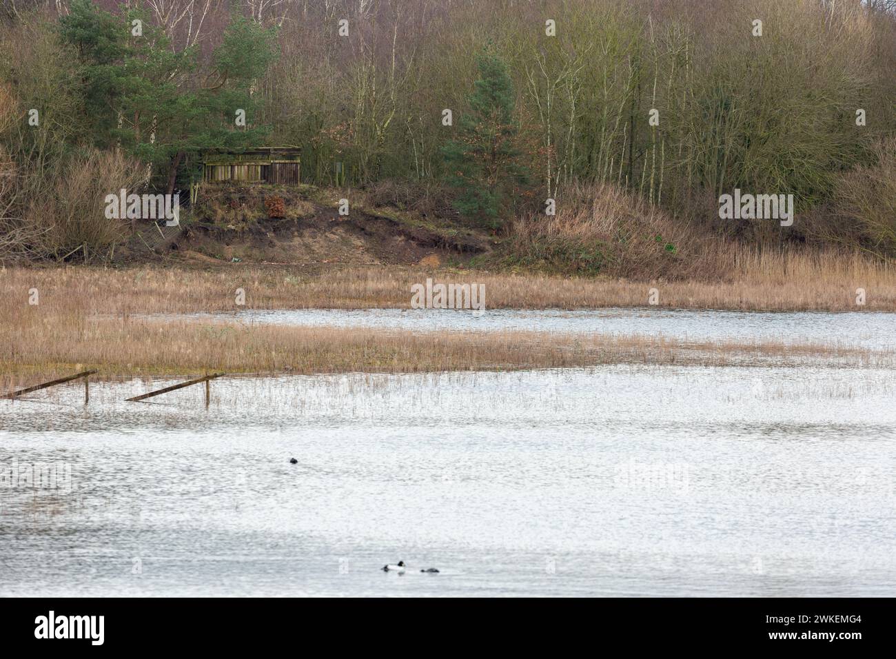 Wetland nature reserve bird hi-res stock photography and images - Alamy