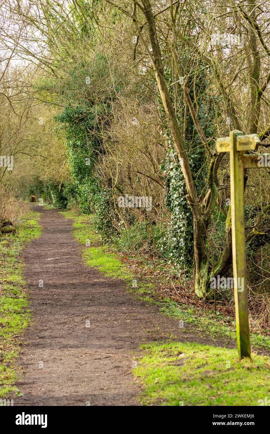 Moore nature reserve cheshire hi-res stock photography and images - Alamy