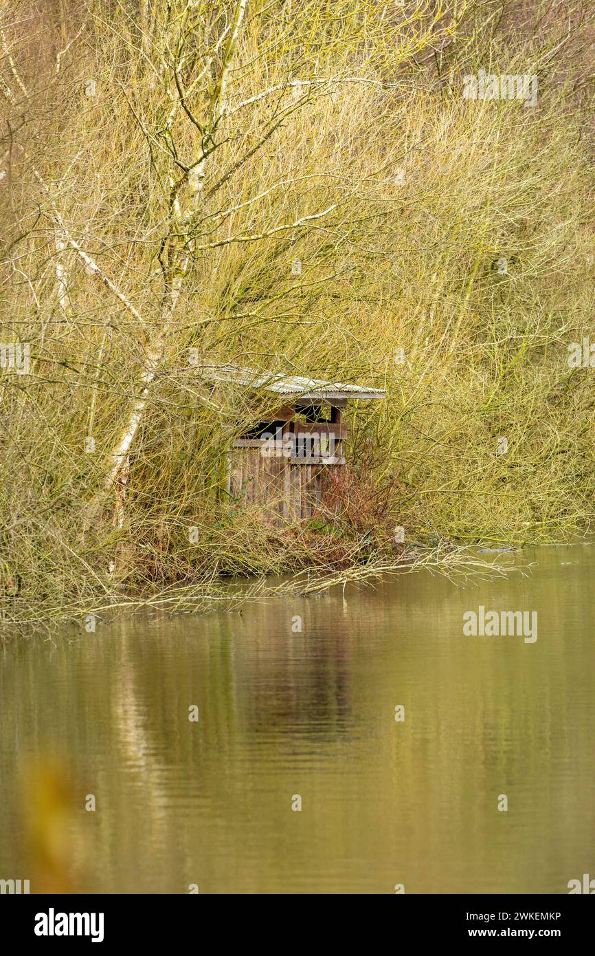 Moore warrington hi-res stock photography and images - Alamy