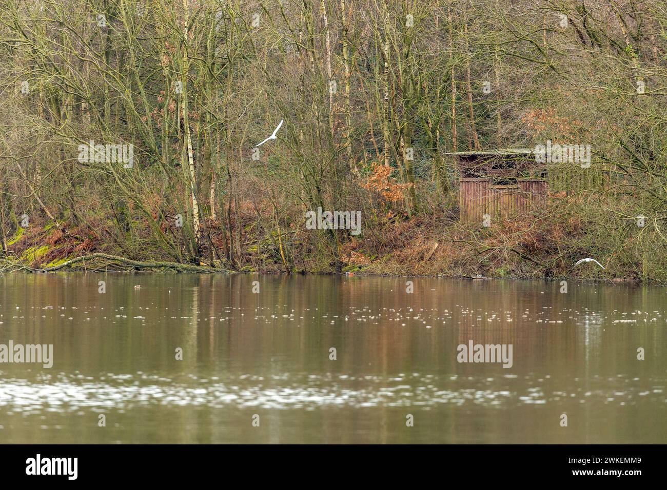 Moore warrington hi-res stock photography and images - Alamy