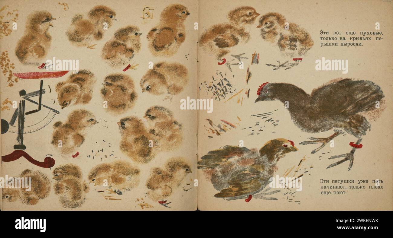 Double book pages from "The city of chicks". Museum: PRIVATE COLLECTION ...