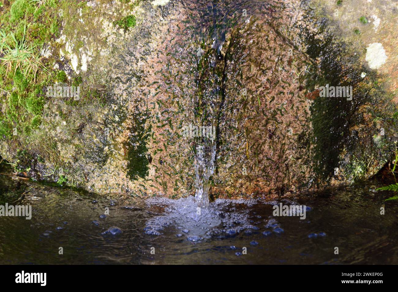 Water overflow pond hi-res stock photography and images - Alamy