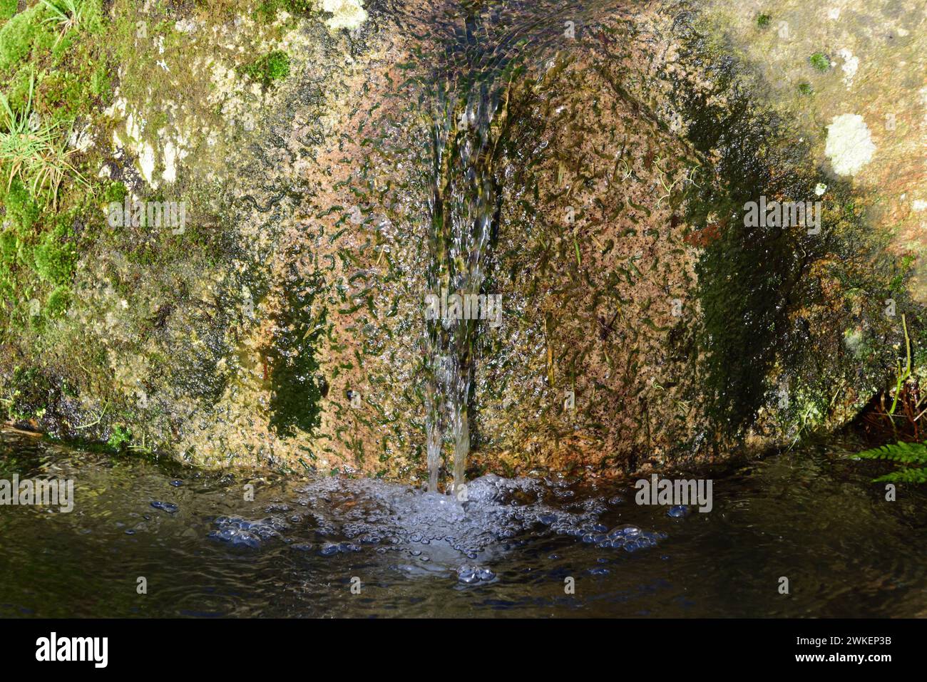 Water running over boulders into a pond Stock Photo - Alamy