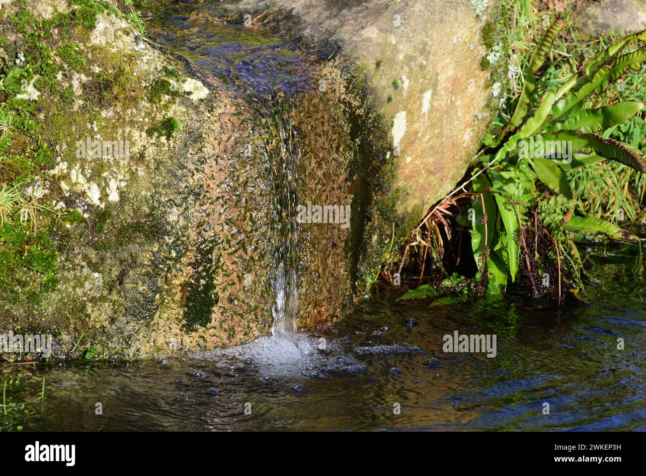 Water running over boulders into a pond Stock Photo - Alamy