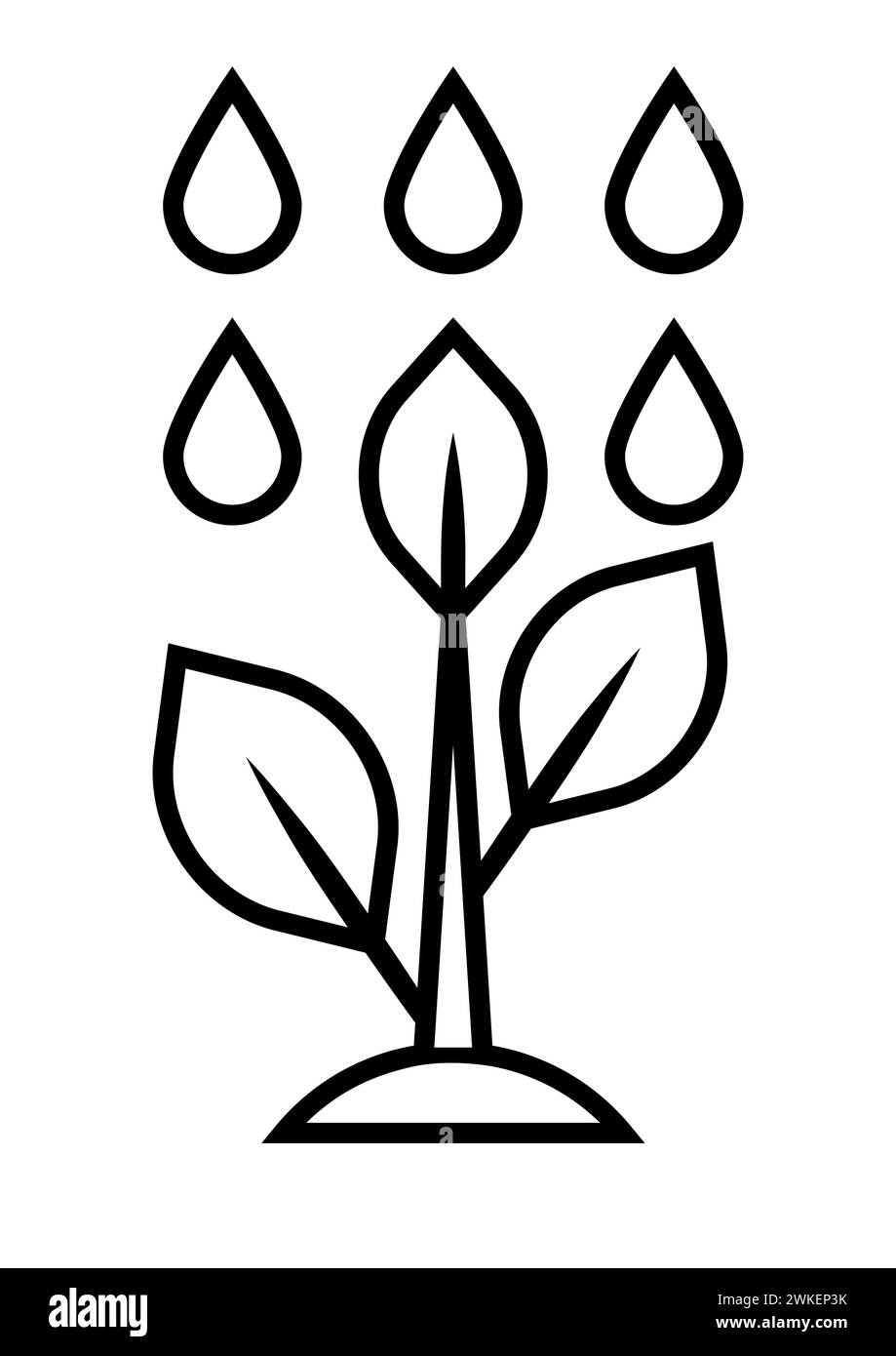 Seedling grown Stock Vector Images - Alamy