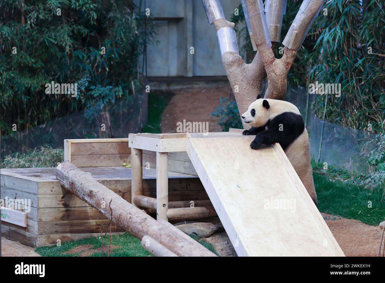 Seoul, South Korea. 20th Feb, 2024. This photo taken on Feb. 20, 2024 ...