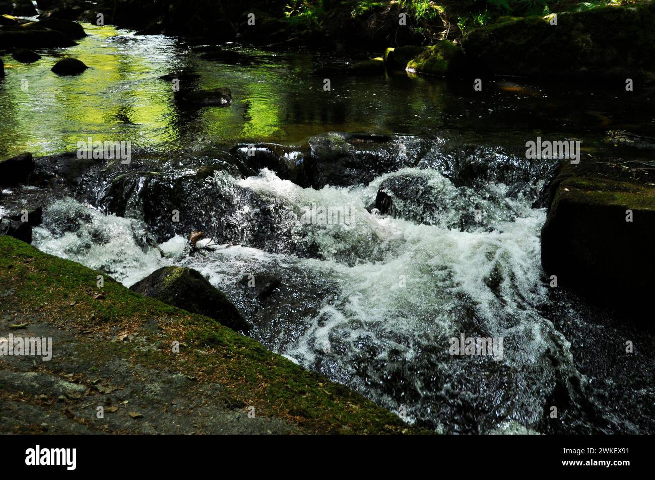 Cascade on the Fowey river at the Golitha Falls as it passes through ...