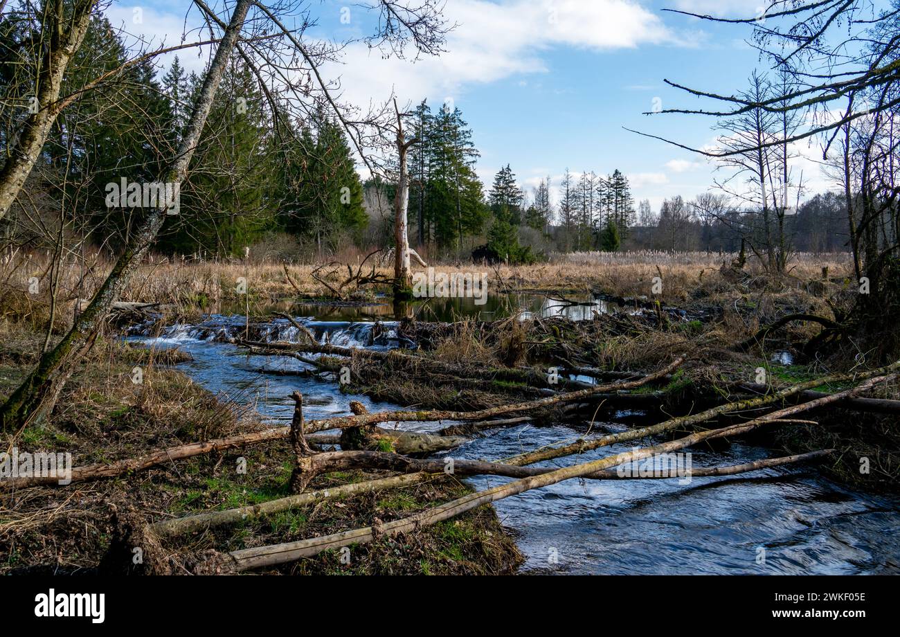 River Ourthe in the Ardennes, Belgium Stock Photo - Alamy