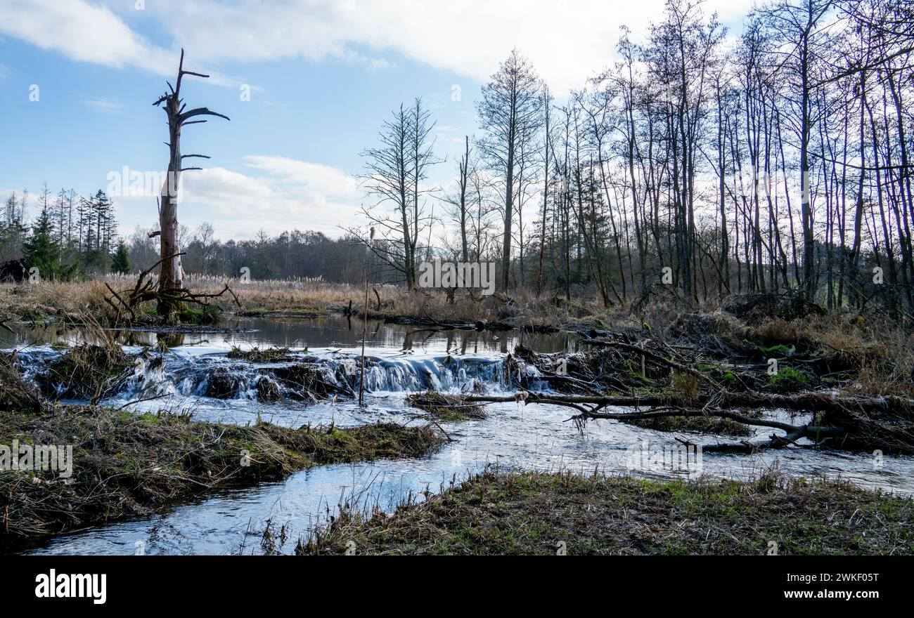 River Ourthe in the Ardennes, Belgium Stock Photo - Alamy