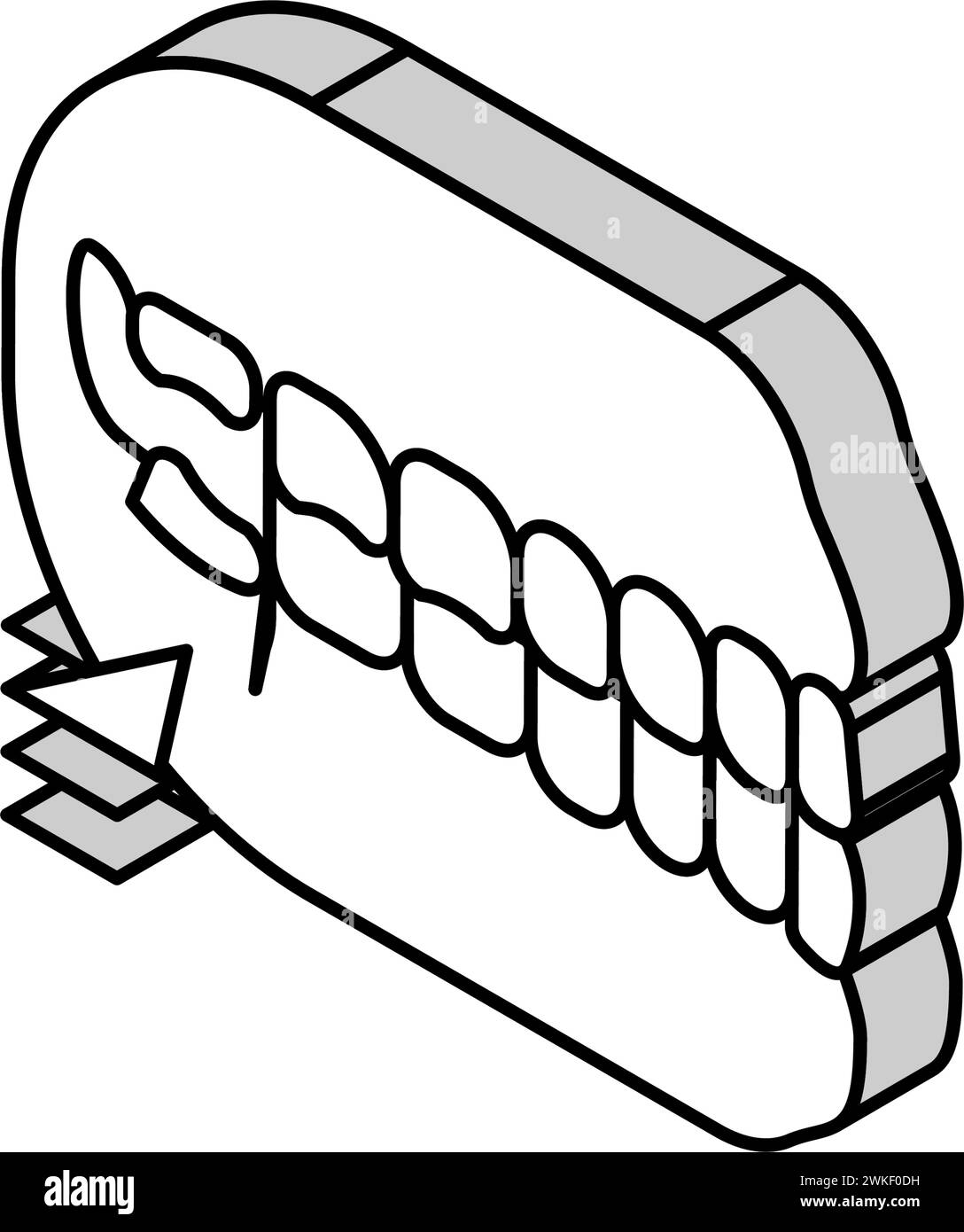 wisdom tooth isometric icon vector illustration Stock Vector Image ...