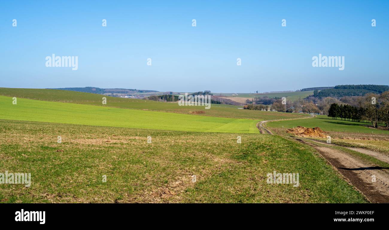 Panorama in a rural landscape in the Ardennes, Belgium Stock Photo - Alamy
