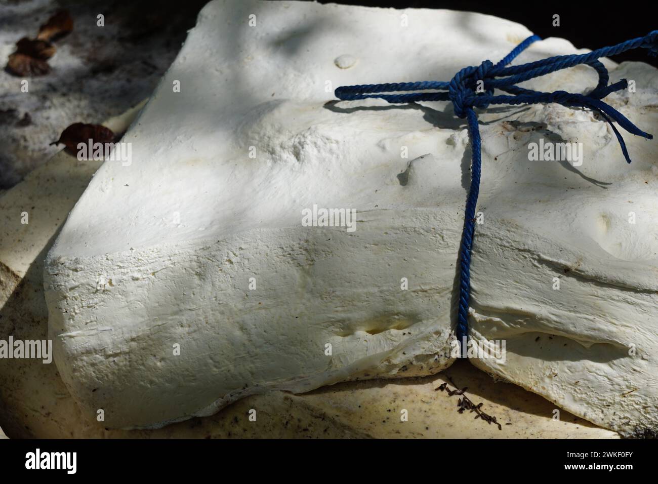 Raw rubber with a natural background Stock Photo - Alamy