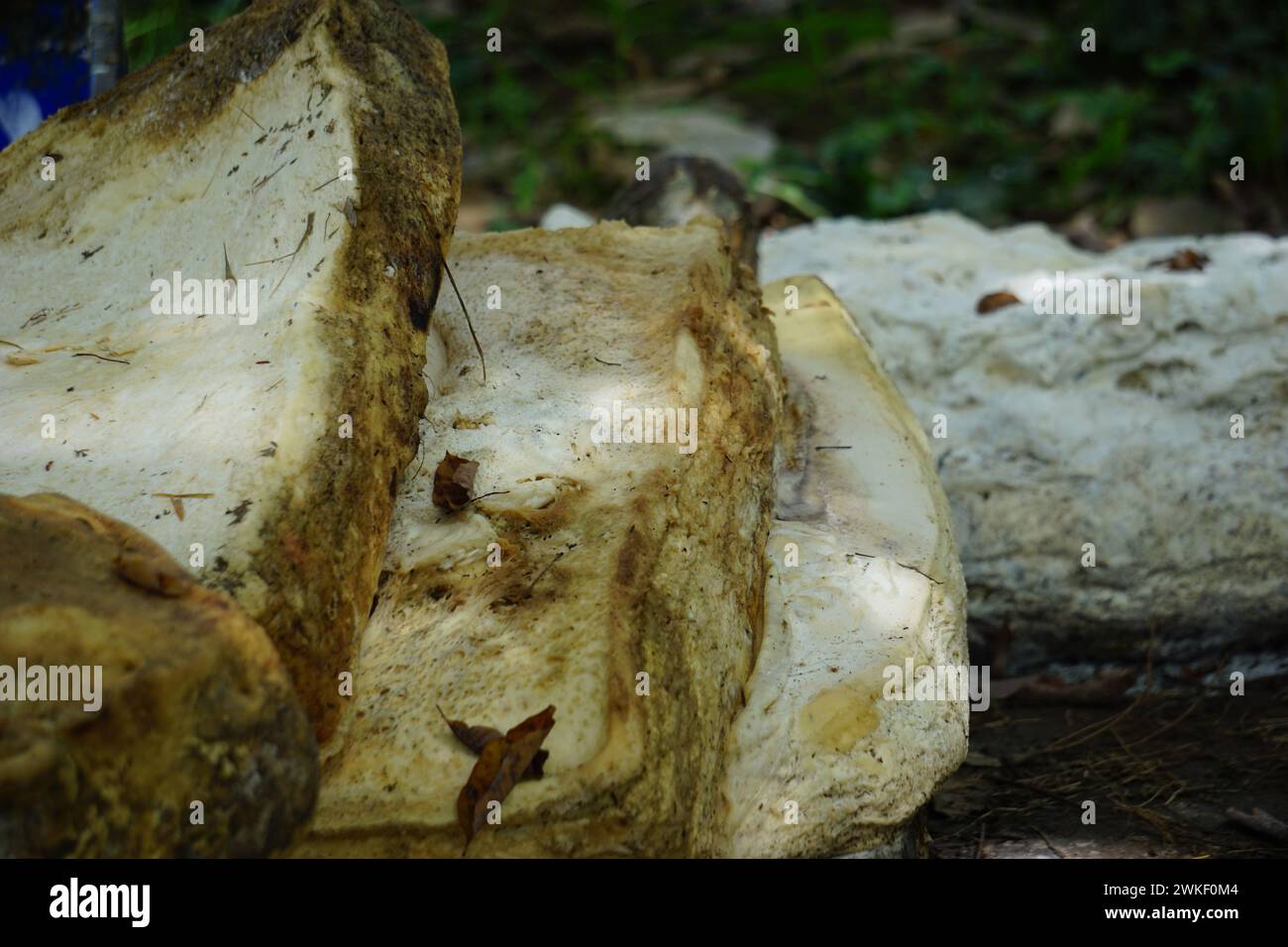 Raw rubber hi-res stock photography and images - Alamy