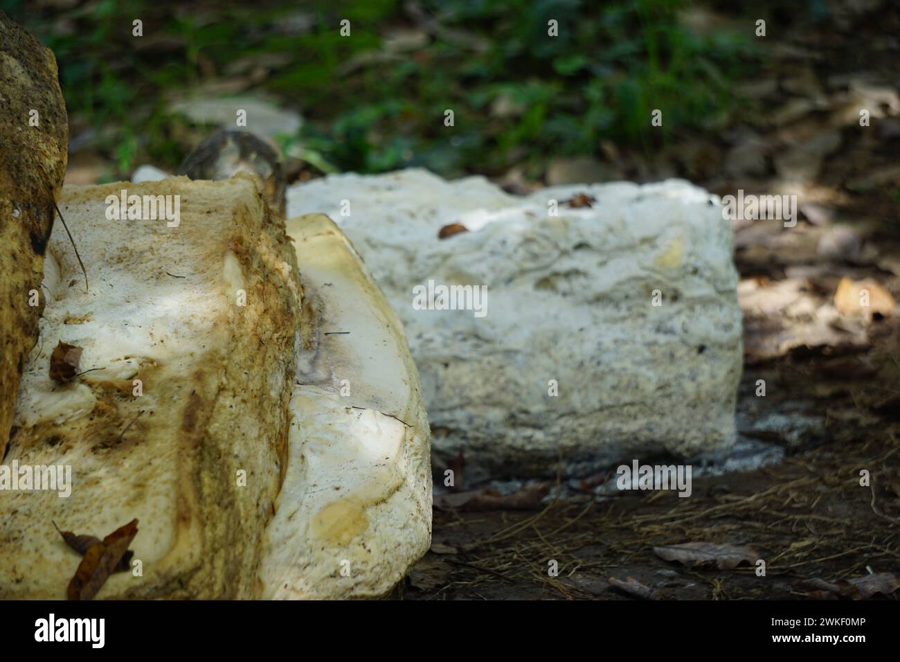 Raw rubber hi-res stock photography and images - Alamy