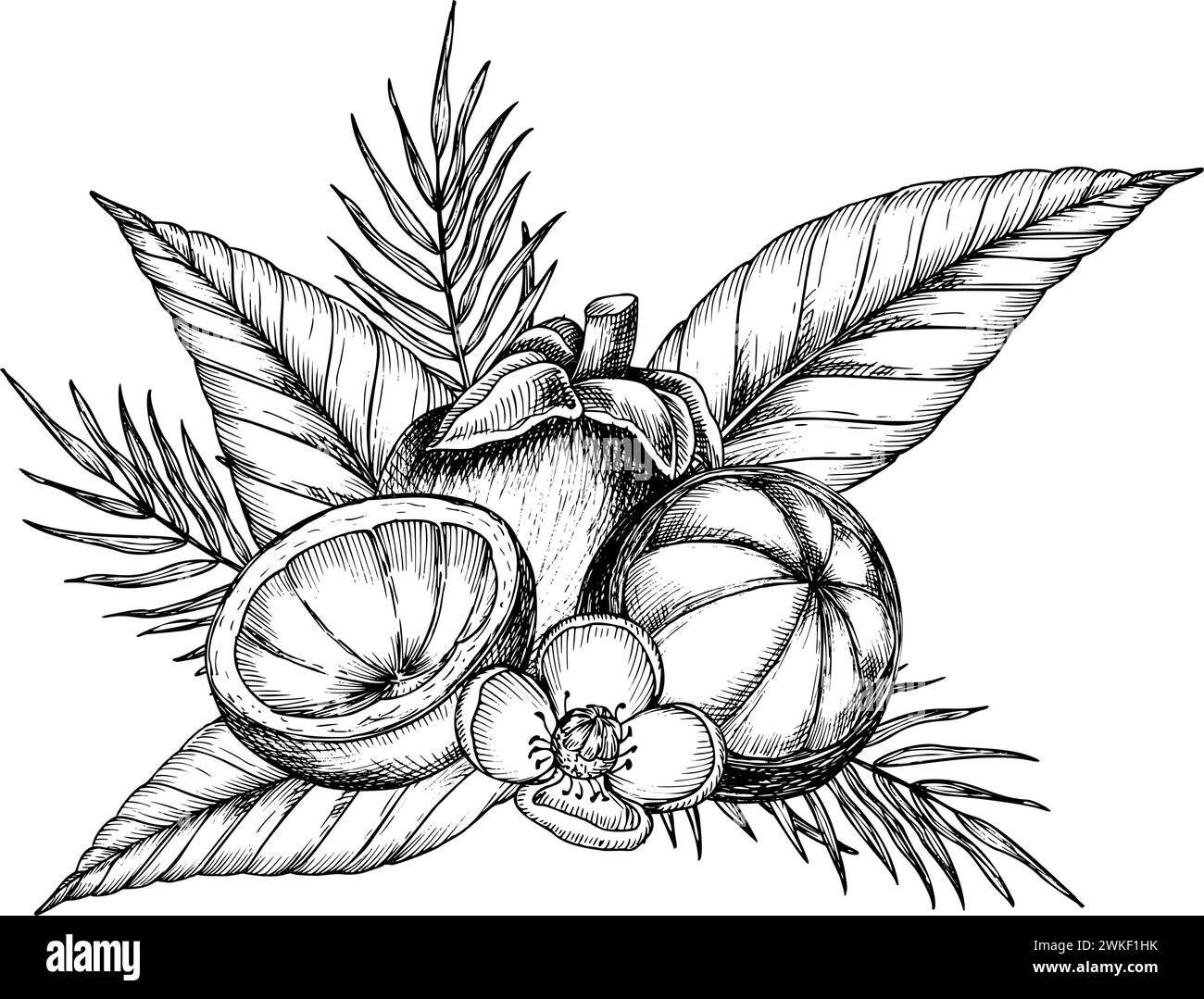 Mangosteen with palm leaves and flowers. Vector hand drawn illustration ...