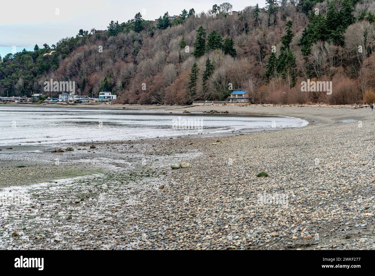 A view of the shoreline at Seahurst Beach Park in Burien, Washington ...