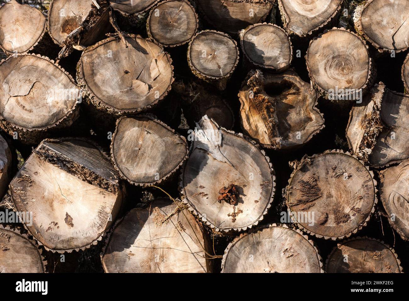 Ringscapes hi-res stock photography and images - Alamy