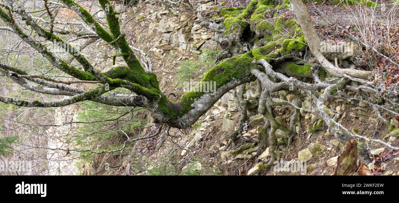 Landslide protection hi-res stock photography and images - Alamy