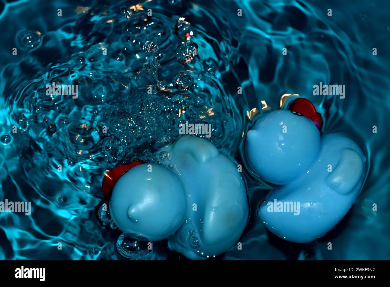 Restless water surface after falling drops and floating ducks Stock ...