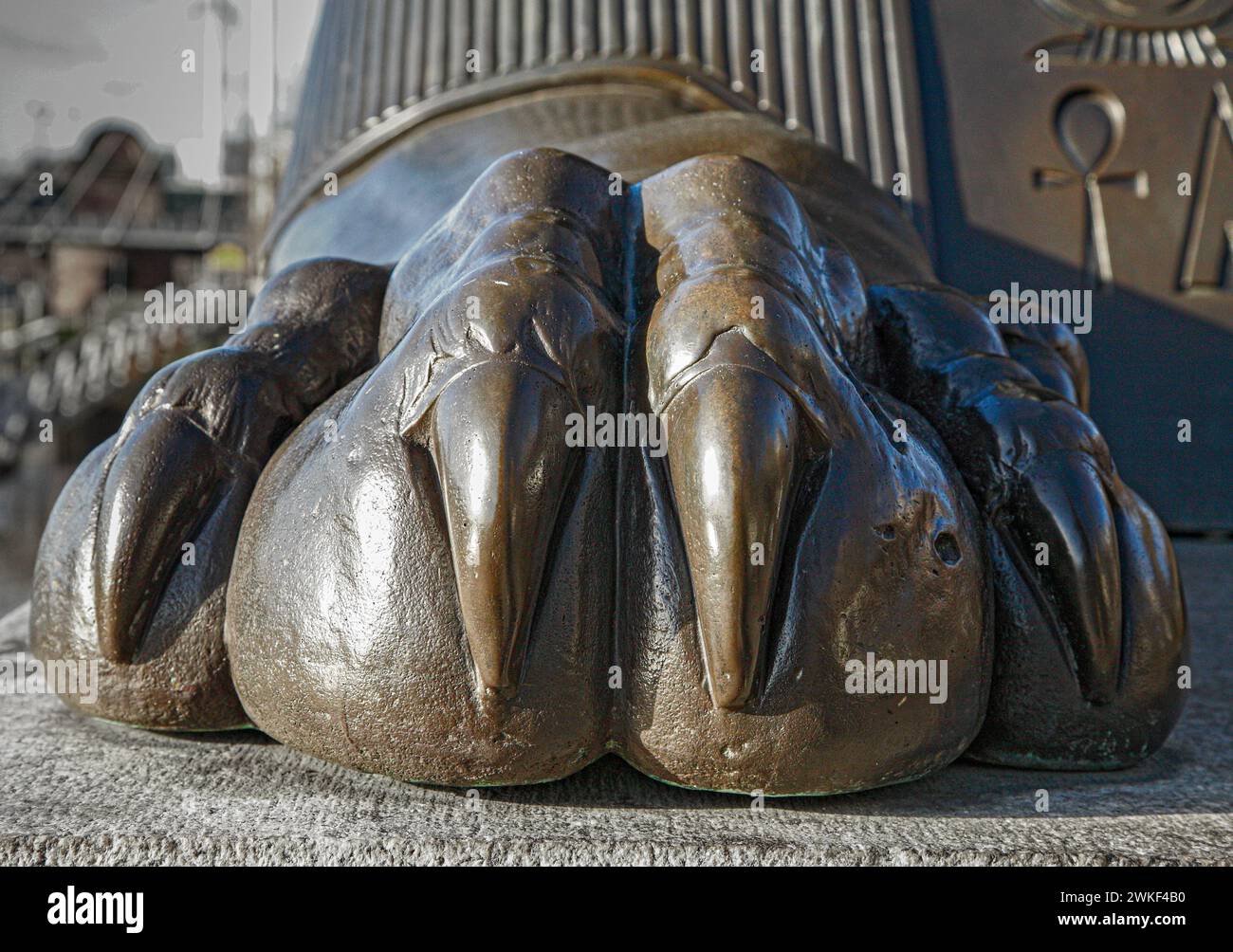 Foot pads hi-res stock photography and images - Alamy