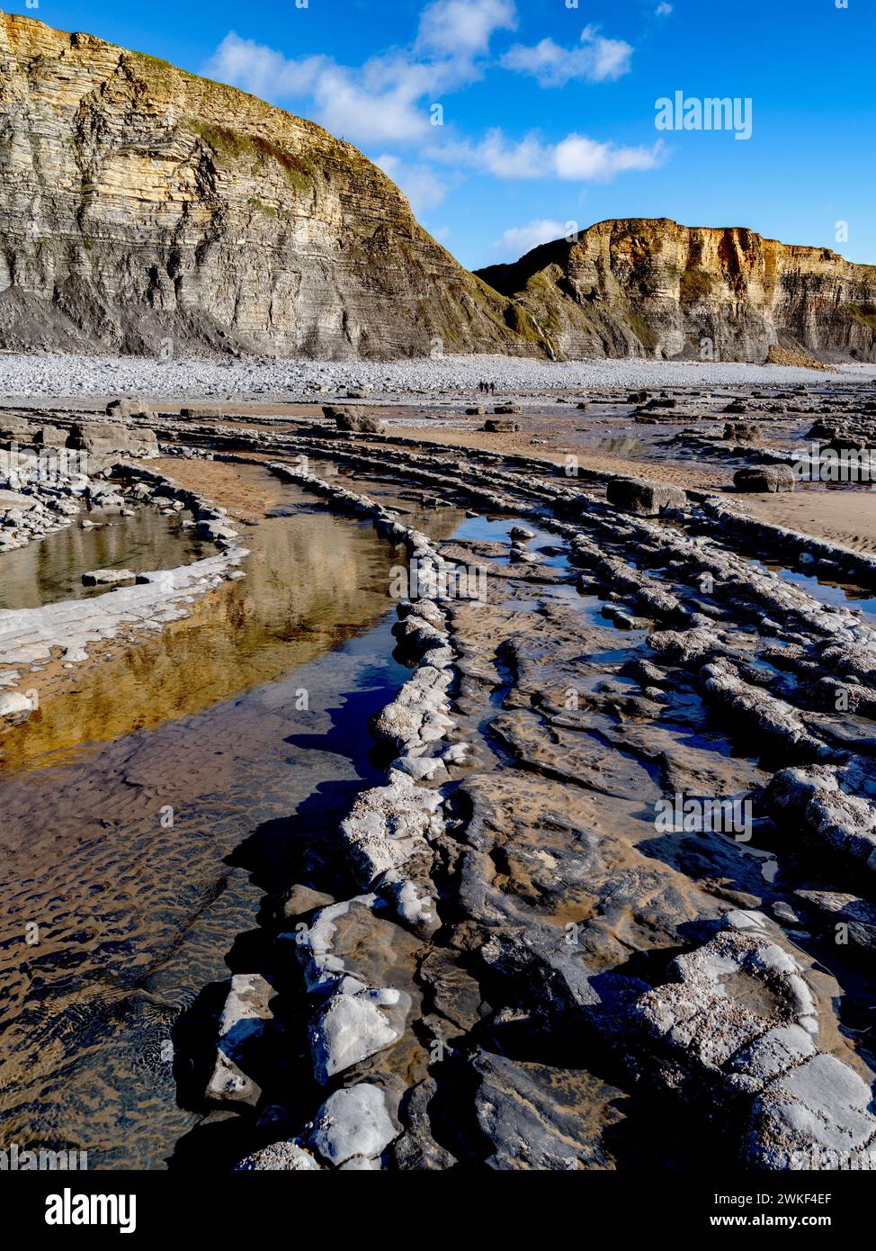 Cliffs and eroded strata of Jurassic Lias limestone at Nash Point on ...