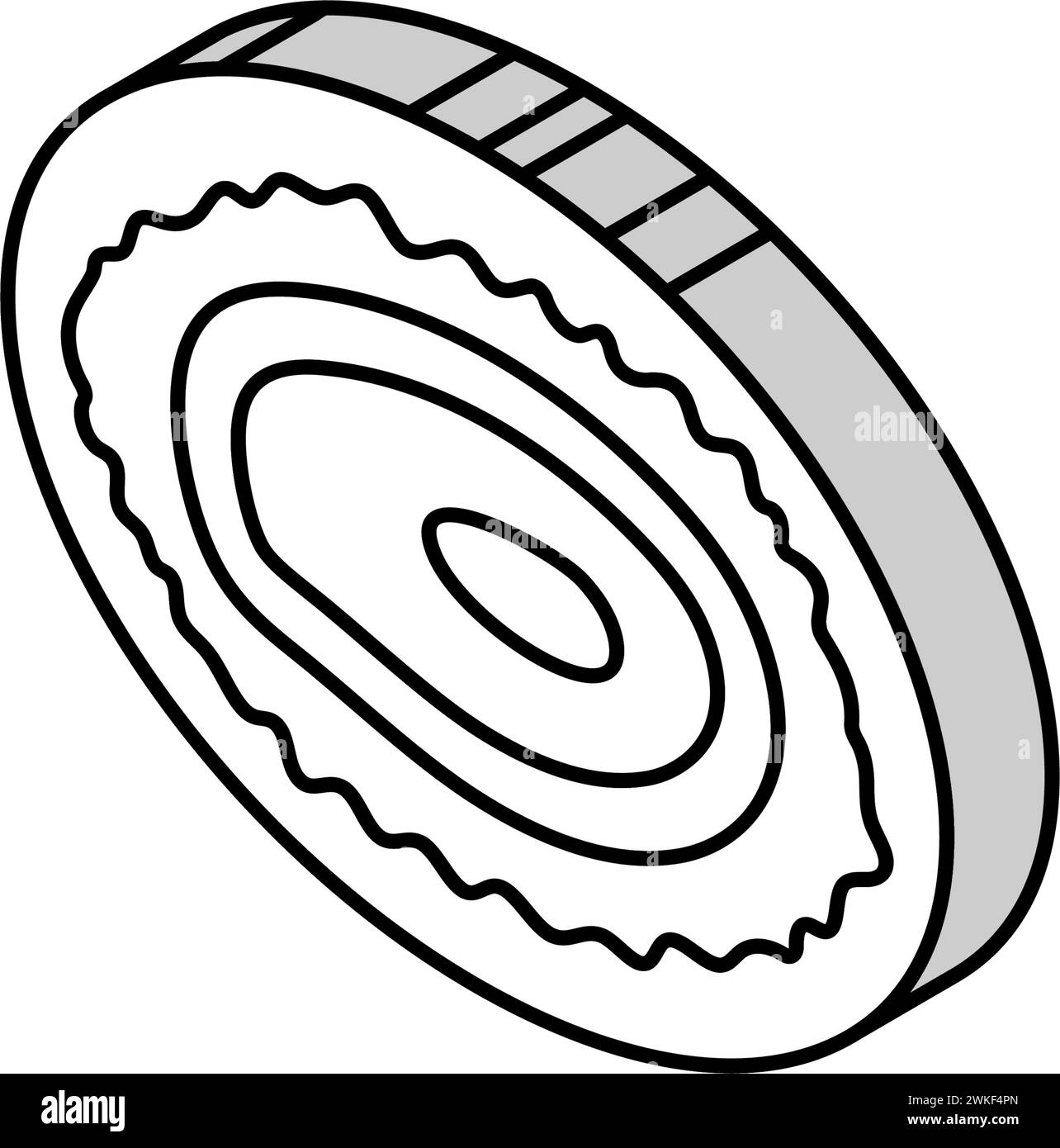 limpet sea shell beach isometric icon vector illustration Stock Vector ...