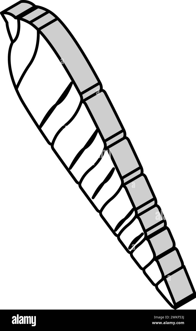 auger sea shell beach isometric icon vector illustration Stock Vector ...