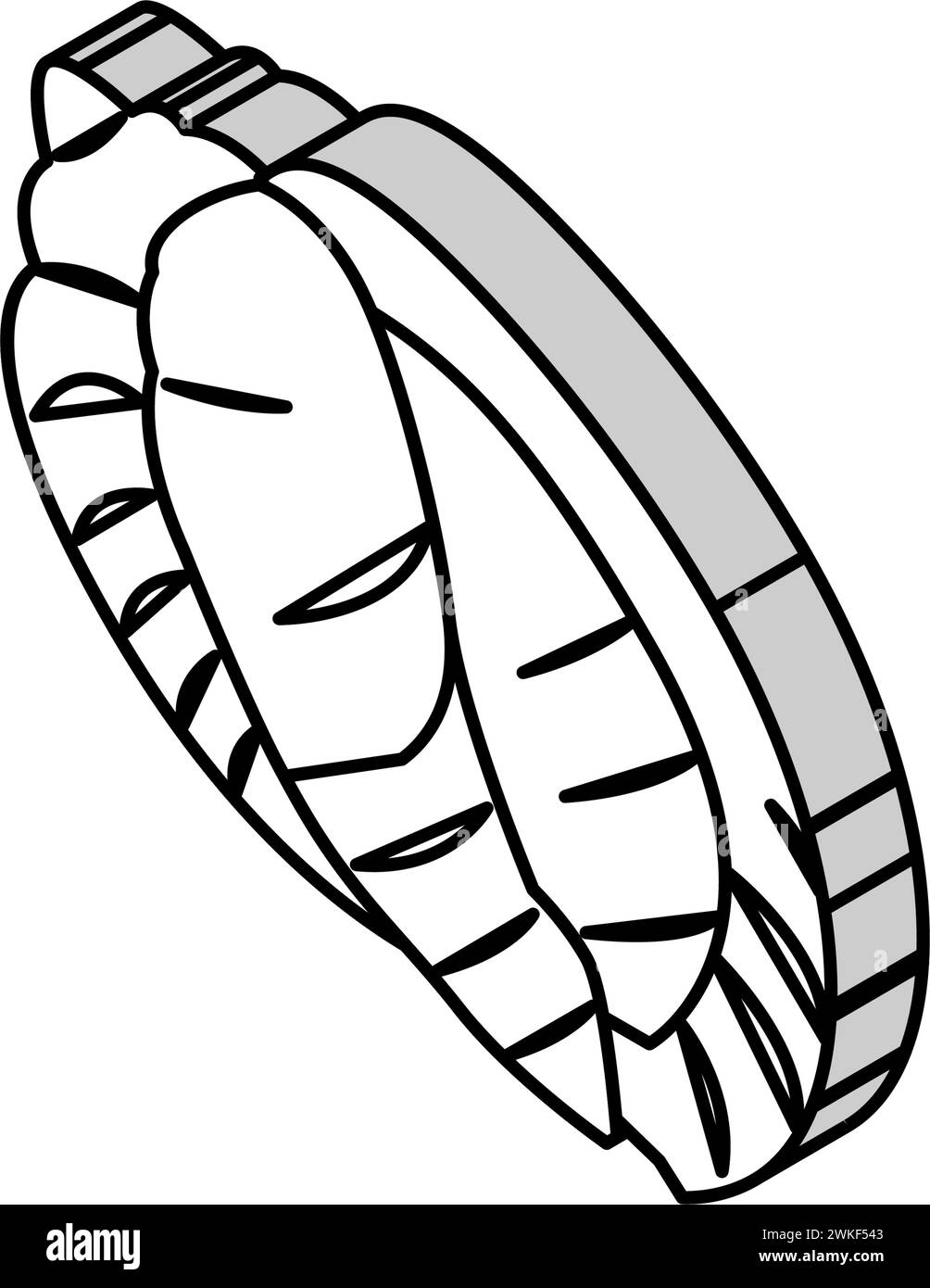 Clam shell design bonnet hi-res stock photography and images - Alamy