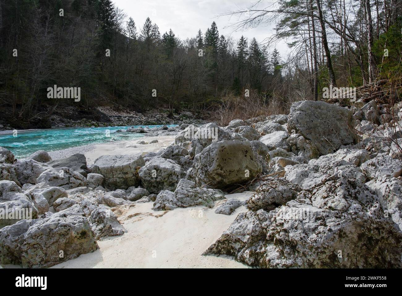 Soca River near Kal-Koritnica, Bovec municipality, Primorska or ...