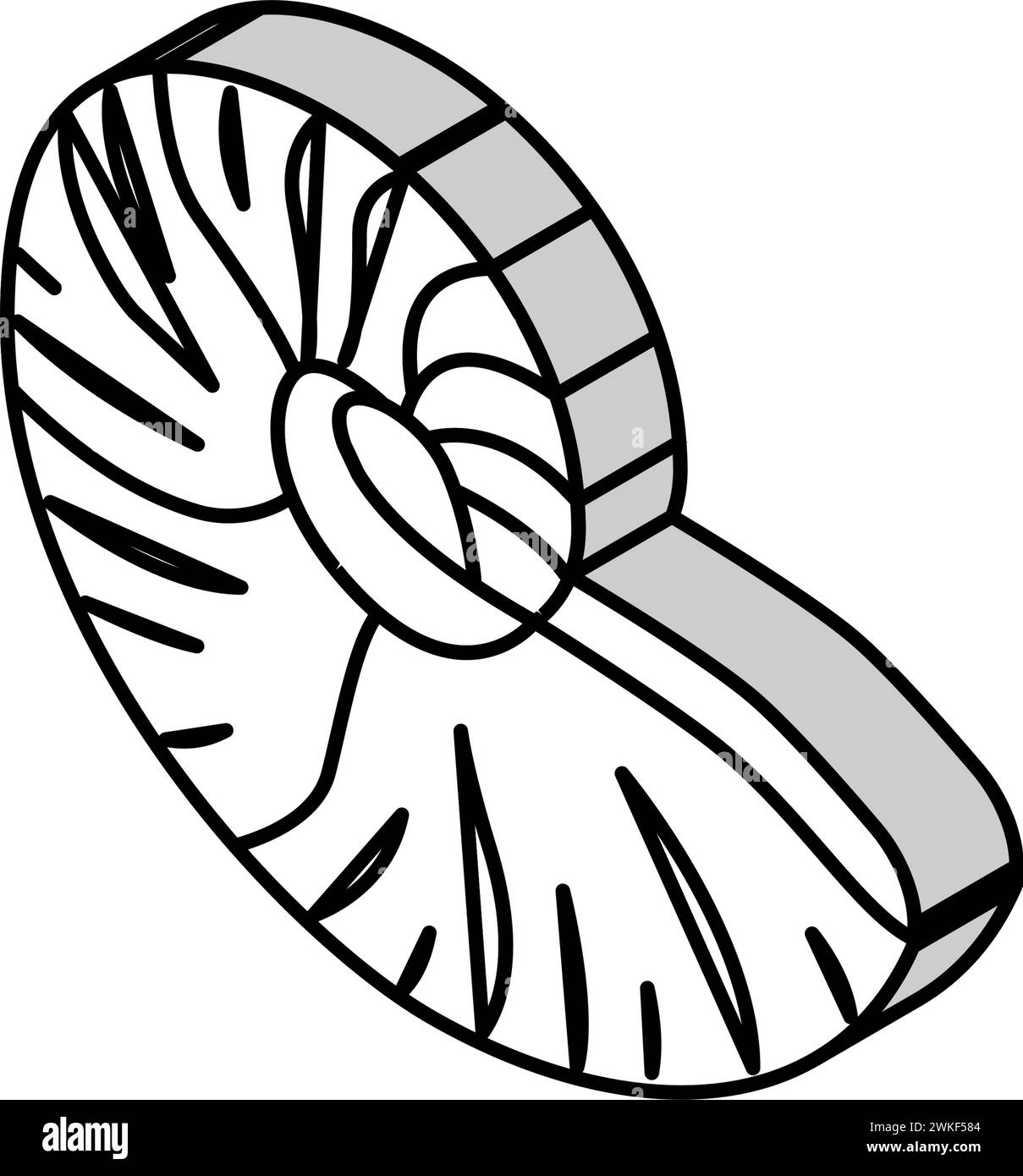 nautilus sea shell beach isometric icon vector illustration Stock ...