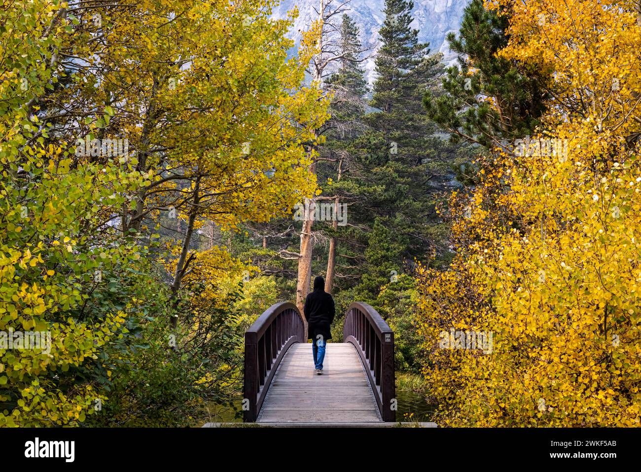 Fall colors frame a bridge over the Twin Lakes in Mammoth Stock Photo ...