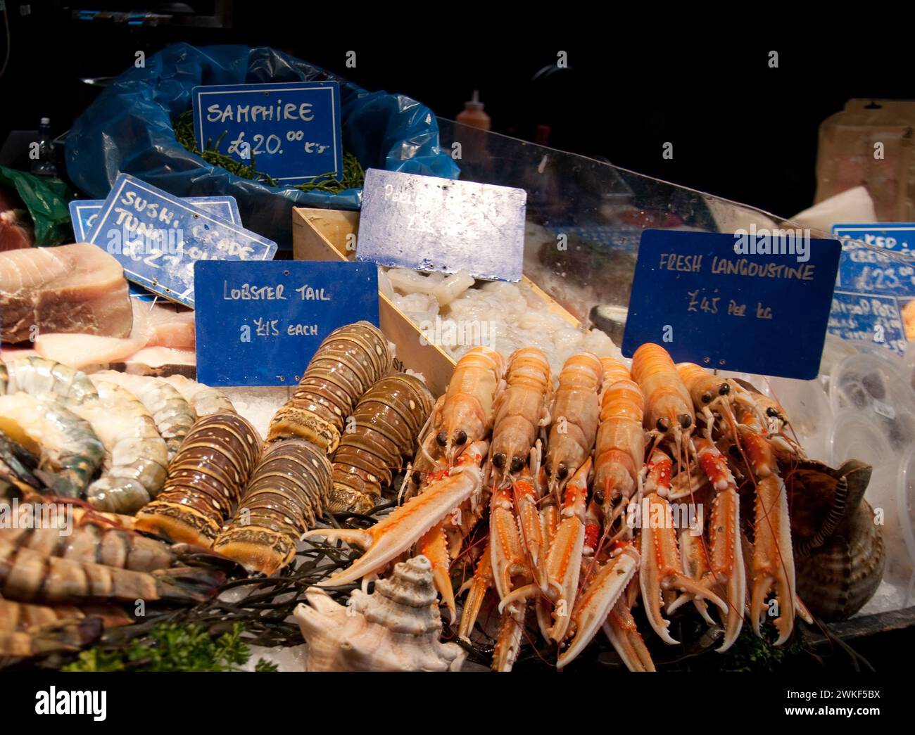 Lobster lobsters fresh fish hi-res stock photography and images - Alamy