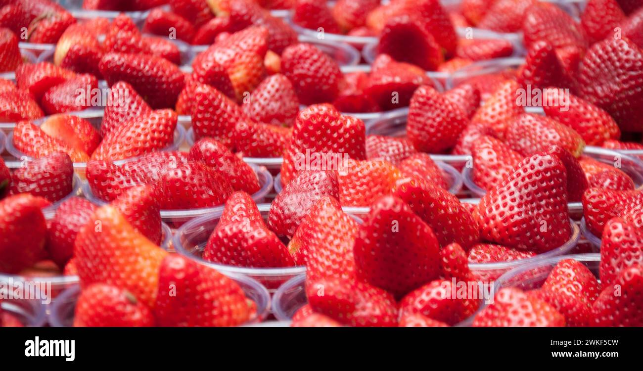 Strawberries, fruit stall, Borough Market, Borough, Southwark, London ...