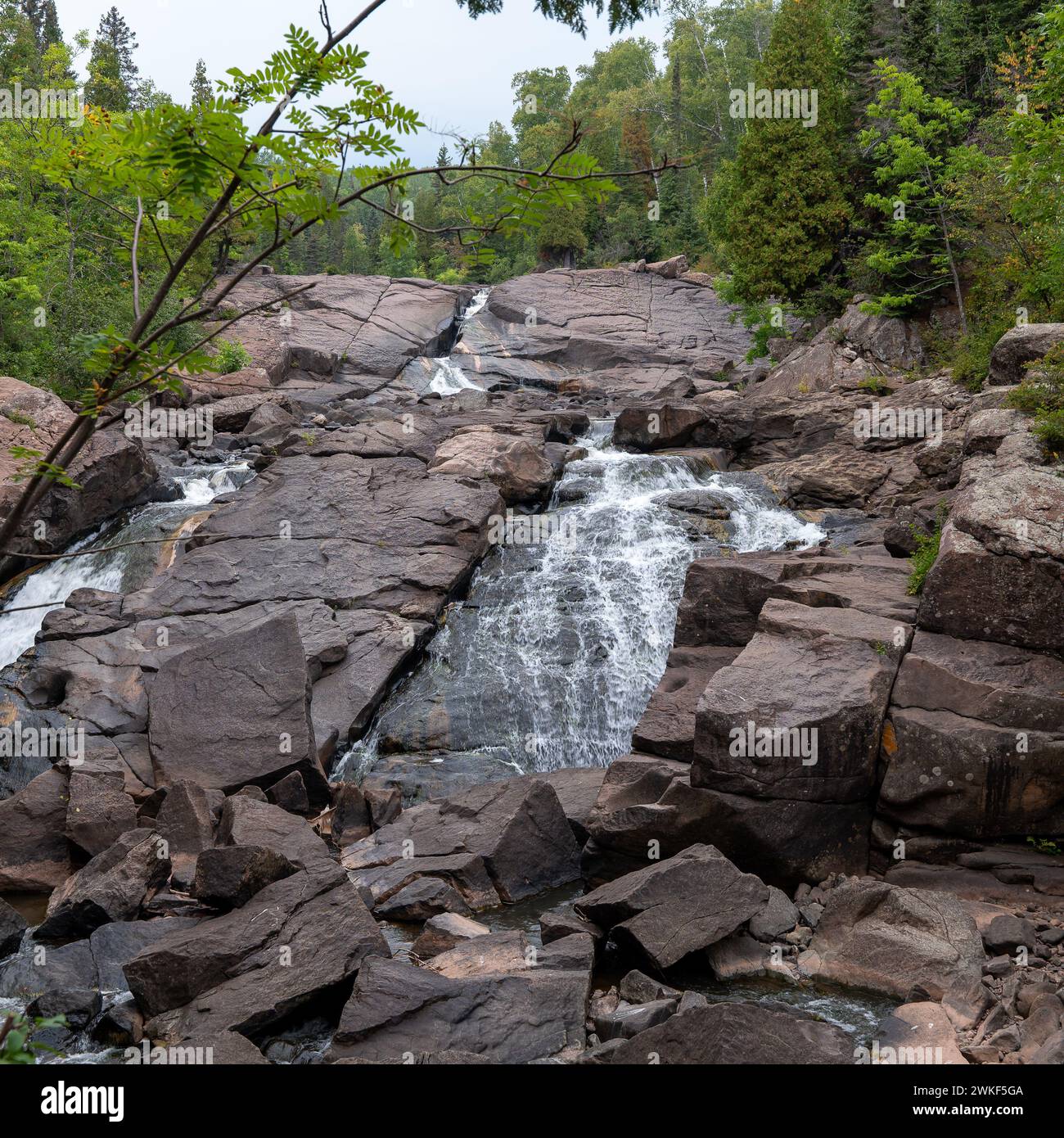 Beaver Falls, a waterfalls that flows over rock in a forest near the ...