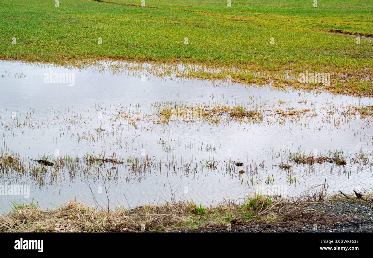 Heavy rainfall lake clouds hi-res stock photography and images - Alamy