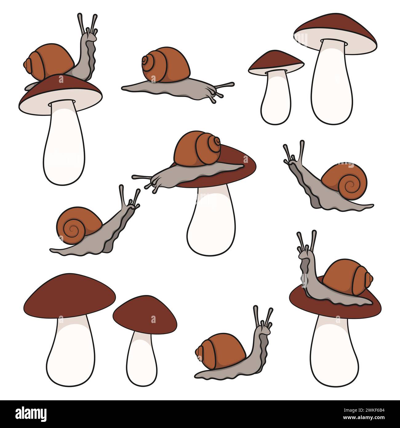 Set of color illustration with snail and mushroom. Isolated vector ...