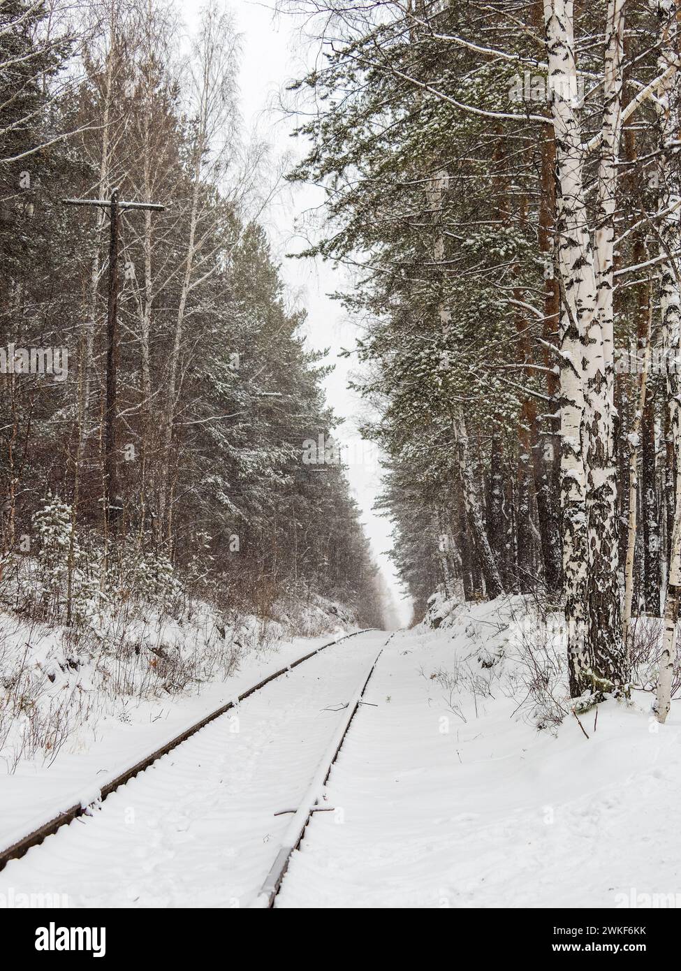 Old railway in winter forest. Frozen in winter railway line between ...