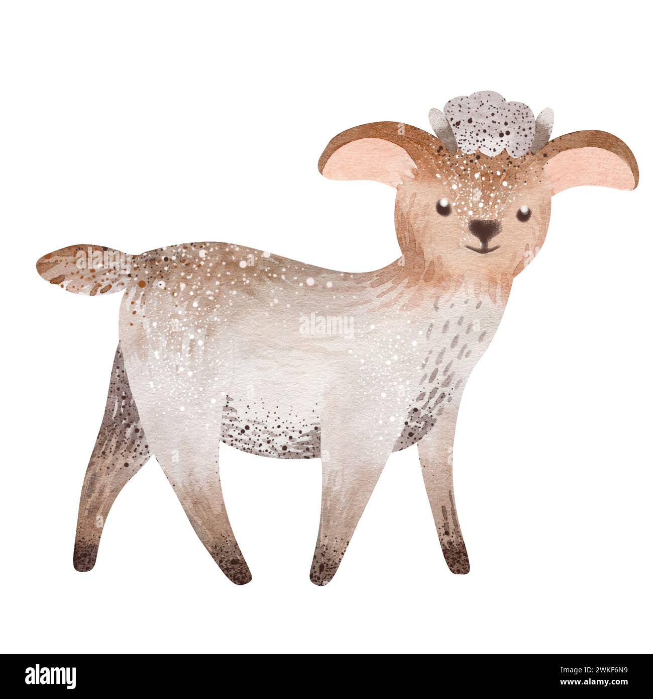 Farm animals watercolor lamb. Watercolor illustration of a cartoon ...