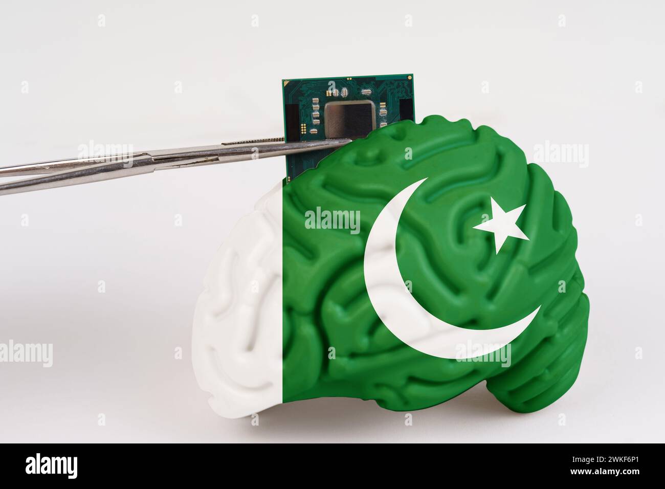 On a white background, a model of the brain with a picture of a flag ...