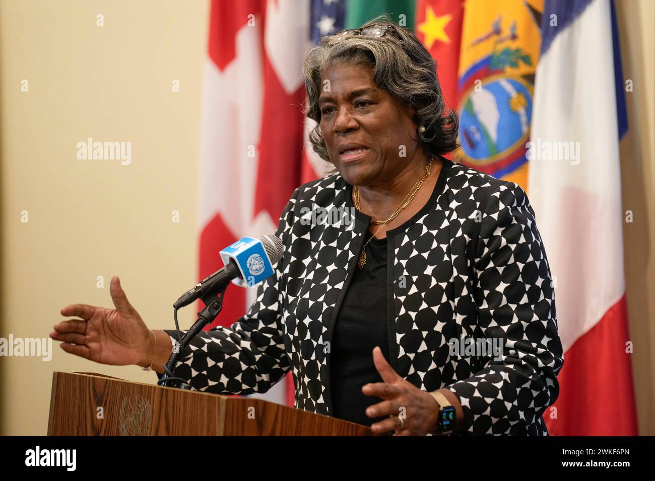 U.S. Ambassador Linda Thomas-Greenfield speaks to reporters after a ...